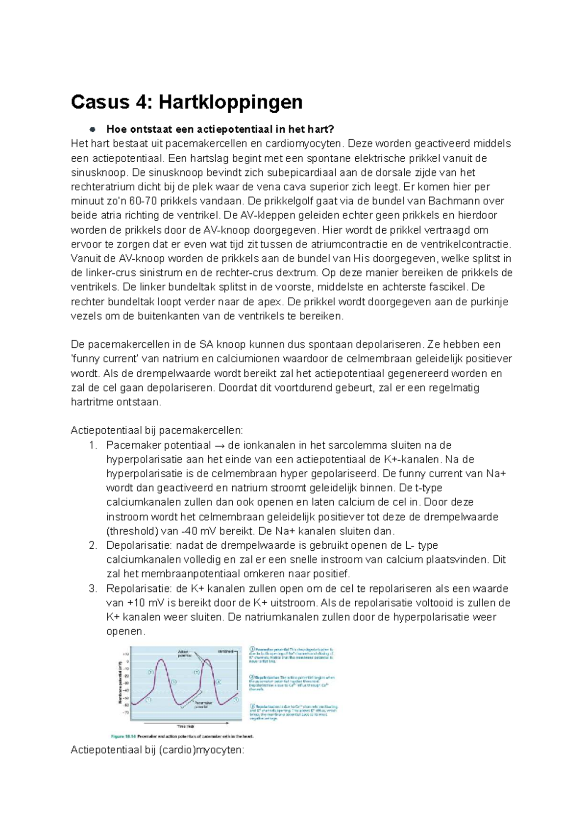 Casus 4: Actiepotentiaal en Hartkloppingen in het Hart - Studeersnel