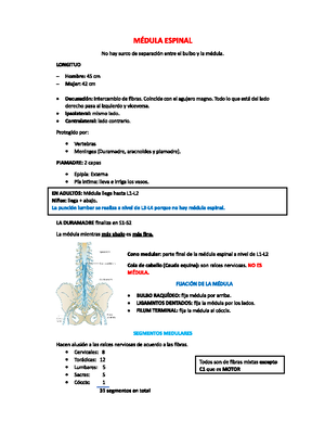 Toma de muestra liquido peritoneal - TOMA DE MUESTRA DEL LIQUIDO ...