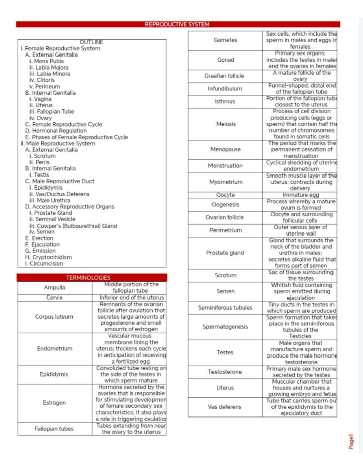 Reproductive System - Comprehensive Review Notes (BIO 101) - Studocu