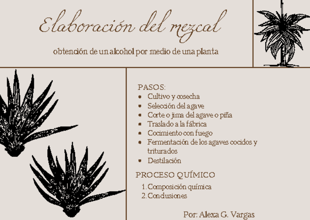 Proceso de preparación del mezal - Elaboración del mezcal obtención de ...