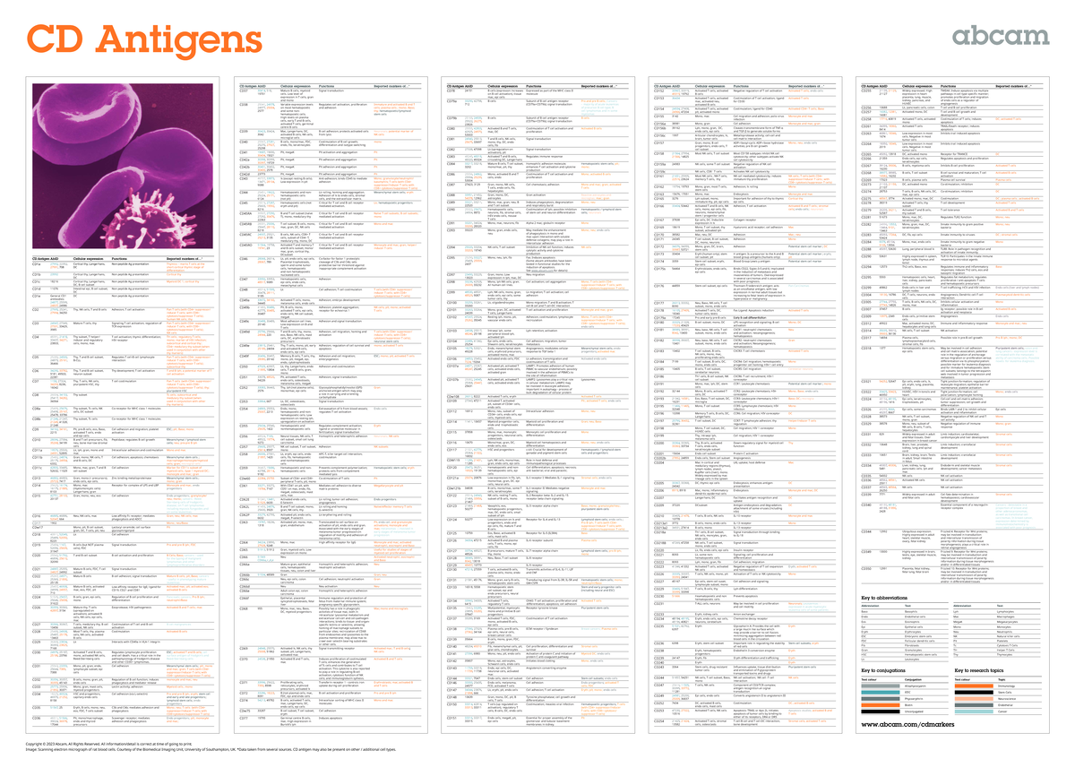 CD Antigens Overview: AbID and Functions Guide (CD 30414, 518, 19701 ...
