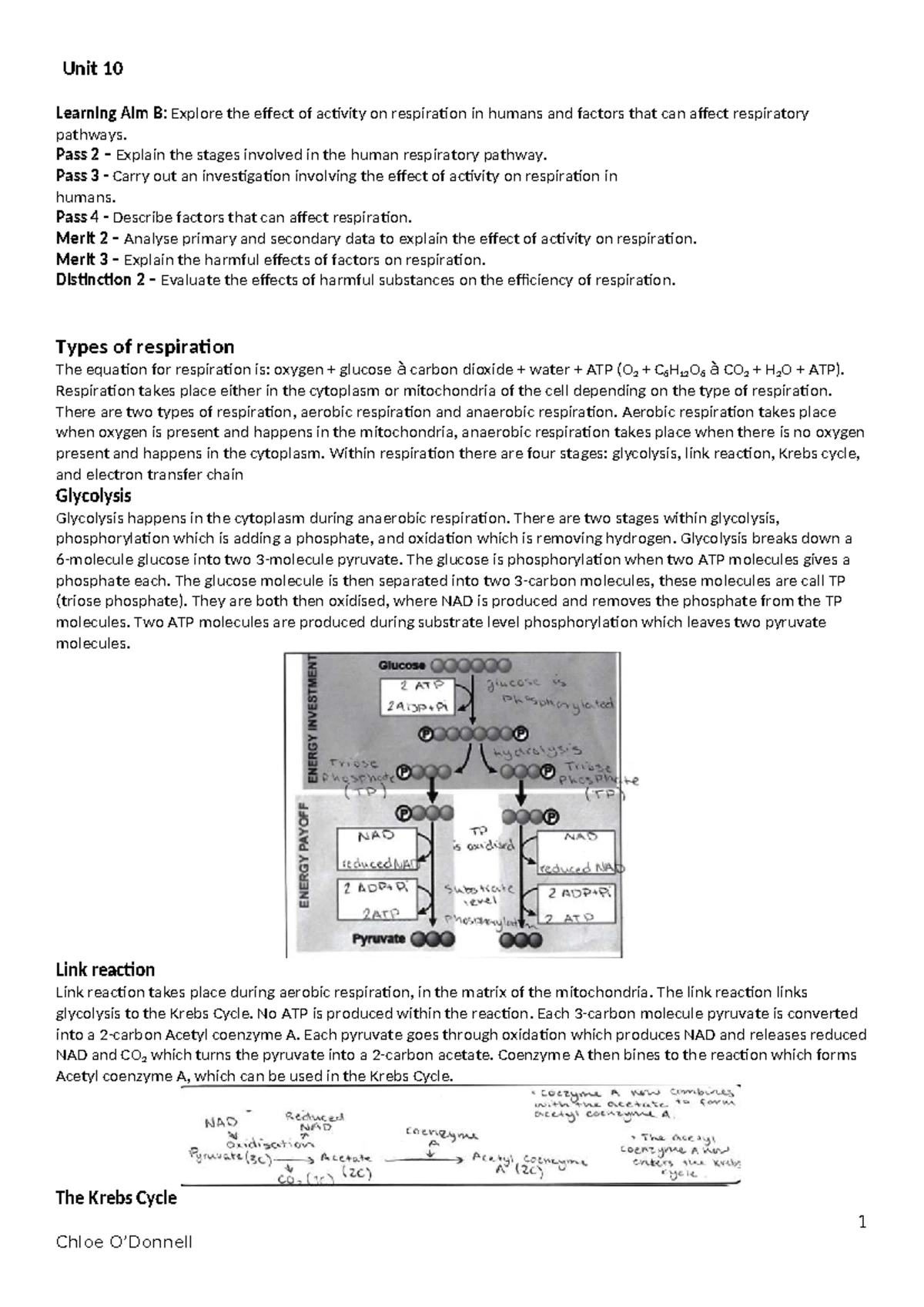 Unit 10 Lab Report: Effects of Activity on Human Respiration (Resub) - Studocu