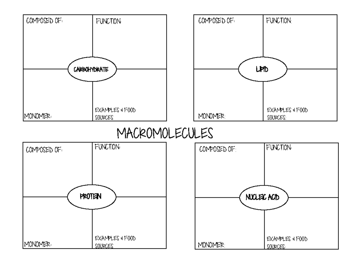 Josselyn Almanza - Macromolecule Graphic Organizer - MATH 310 ...
