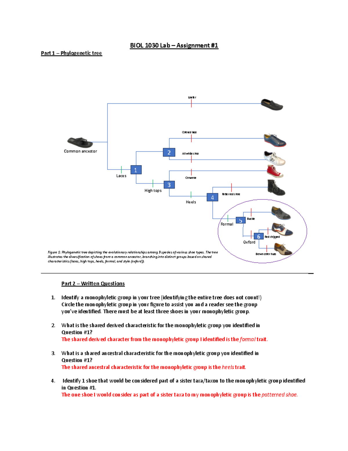 BIOL1030 Lab 1 assignment - BIOL 1030 Lab – Assignment Part 1 ...