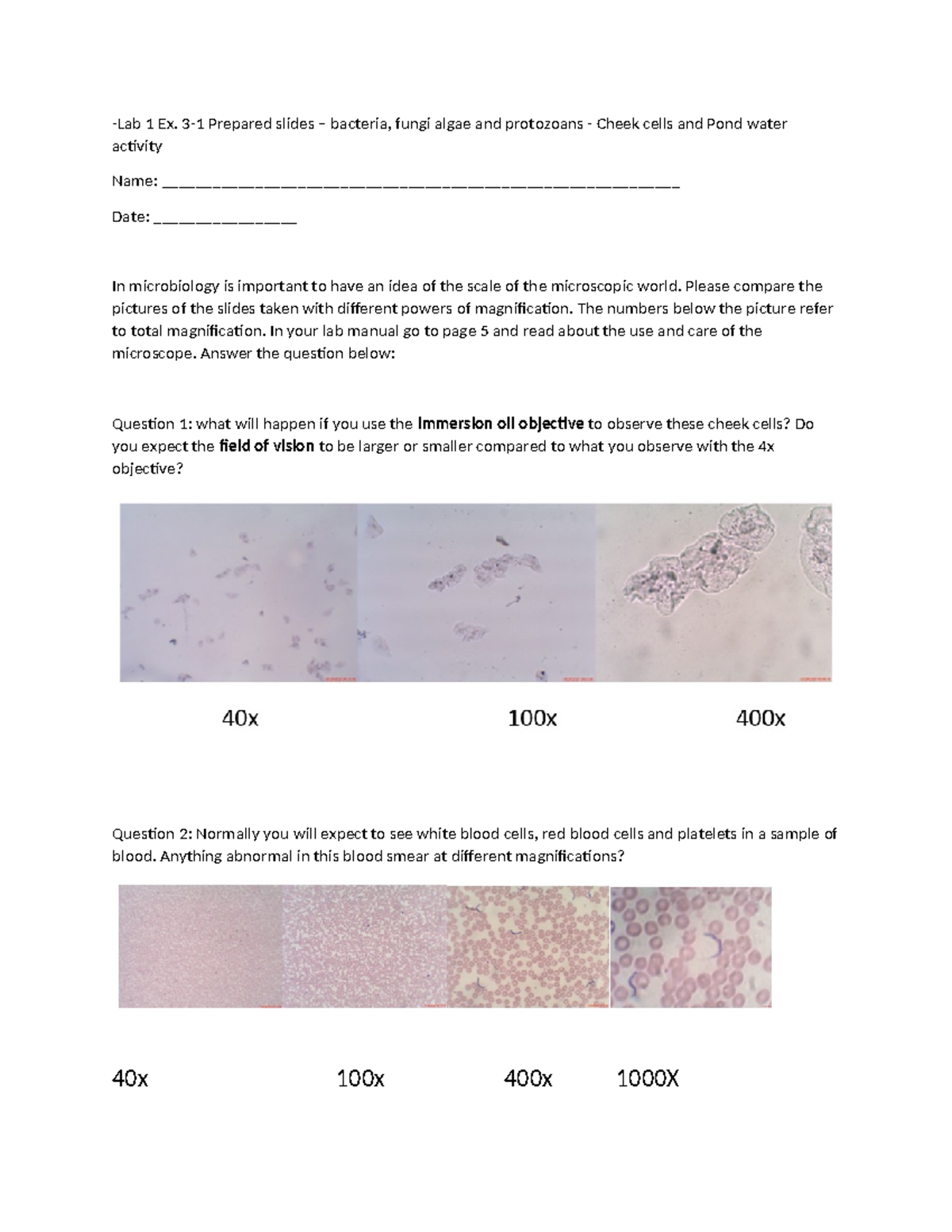 -Lab 1 Ex. 3-1 Prepared slides – bacteria, fungi algae and protozoans ...