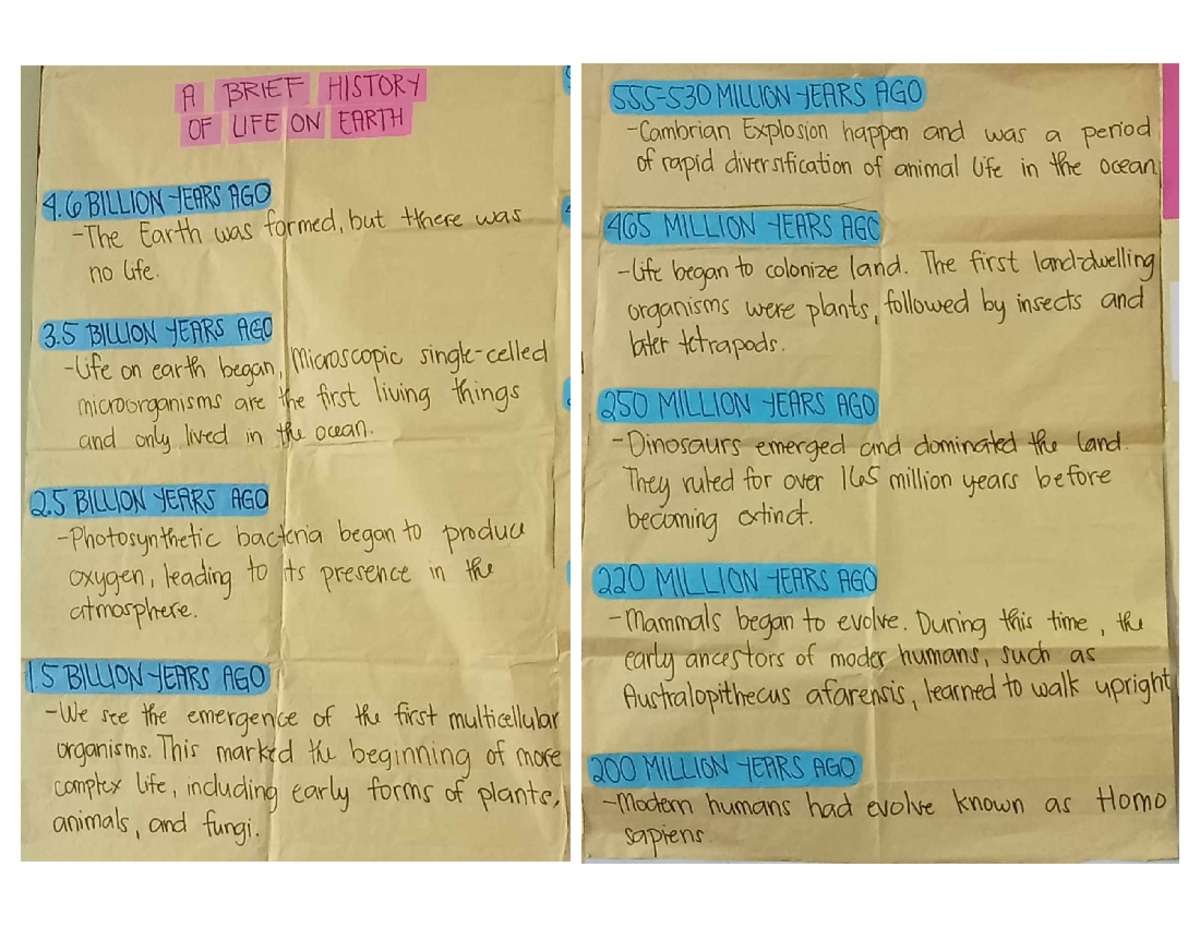 Group 1 STS 11 - report summary week 1 - A BRIEF HISTORY MILLION YEARS ...