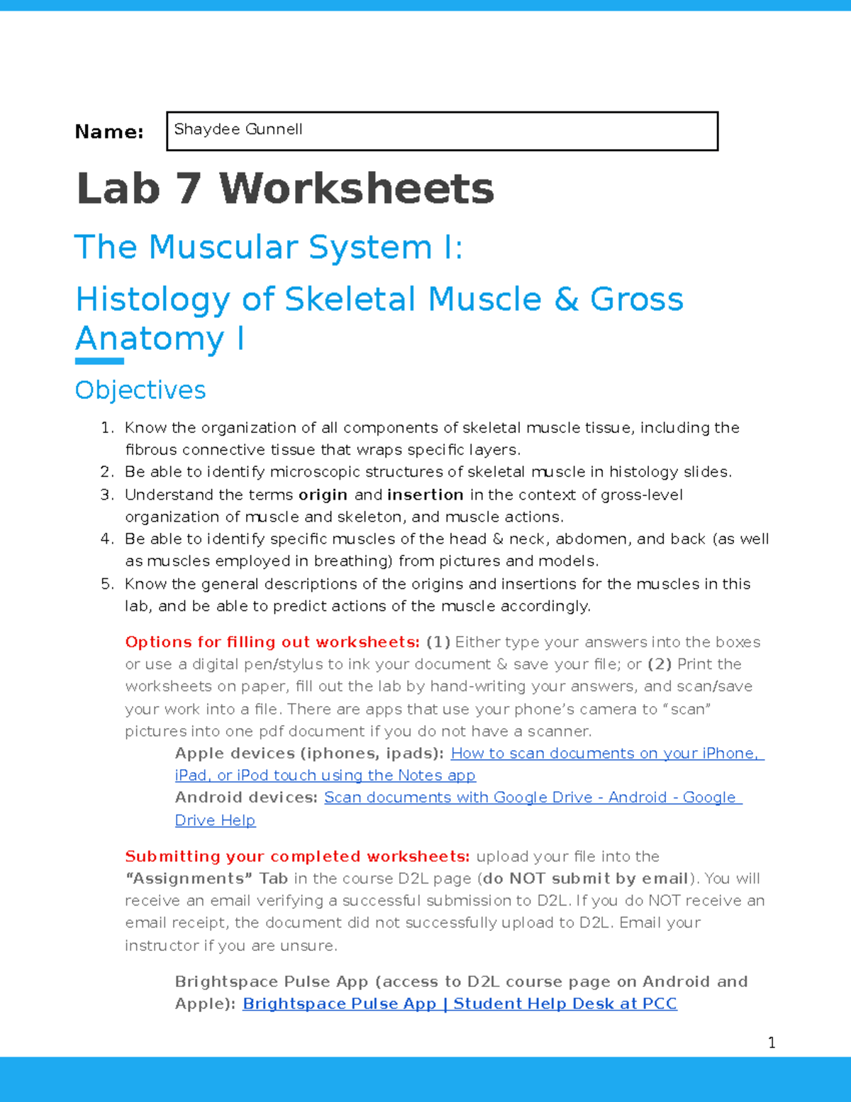 Lab 7 Worksheets: The Muscular System I - Histology & Anatomy - Studocu