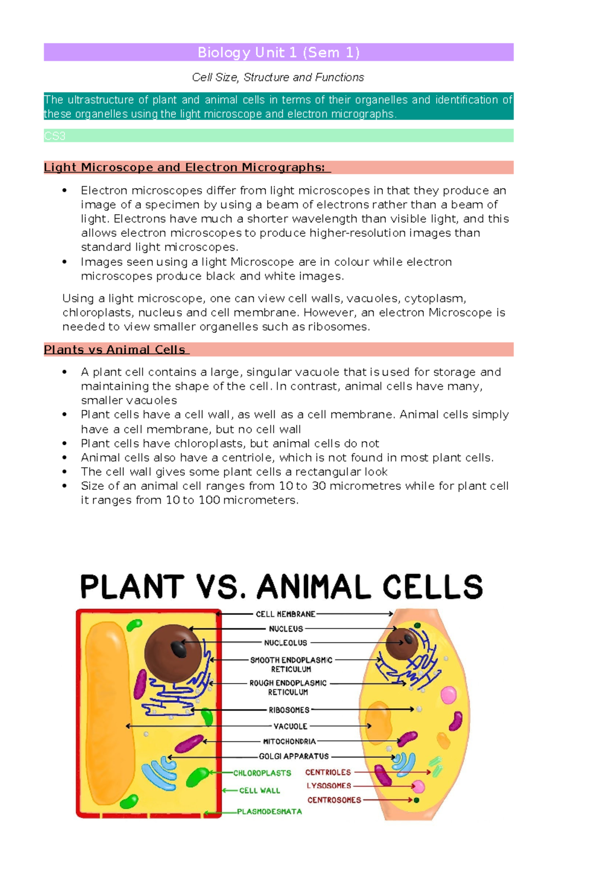 CS3 Light vs Plant and Animal Cells: Microscope Techniques Explained ...