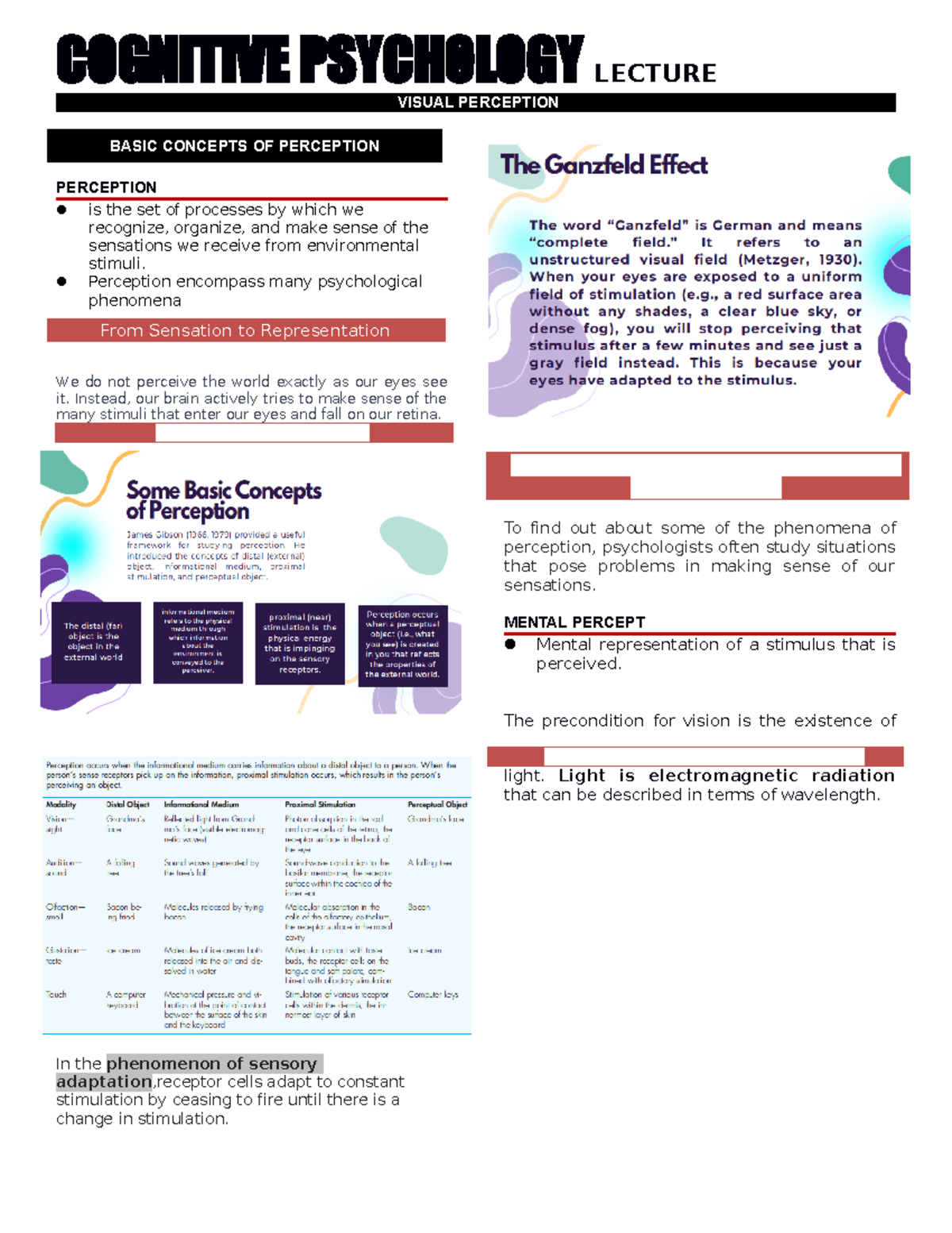 COG 101 Lecture: Visual Perception and Basic Concepts Explained - Studocu