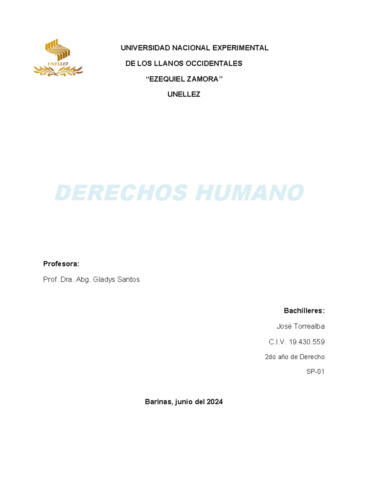 Derecho Internacional de los Derechos Humanos - José Torrealba - 2do ...