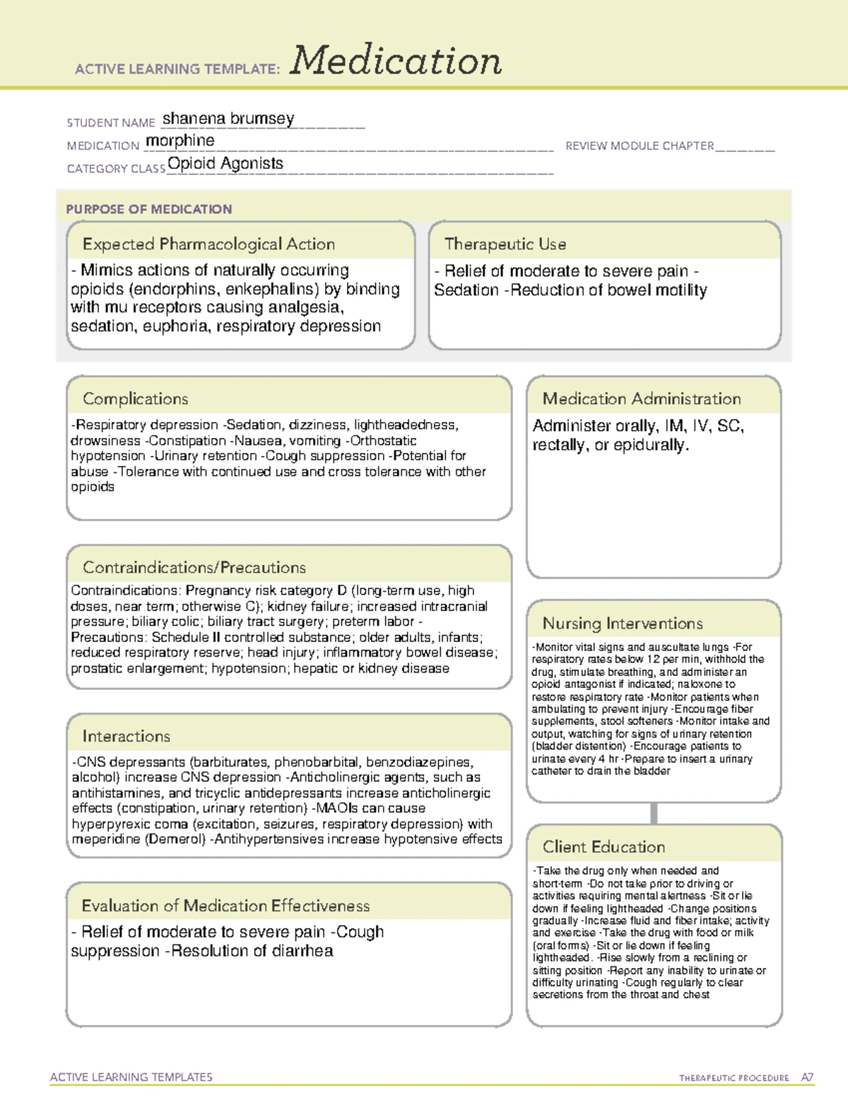 Health Promotion of Toddlers ATI - ACTIVE LEARNING TEMPLATES ...