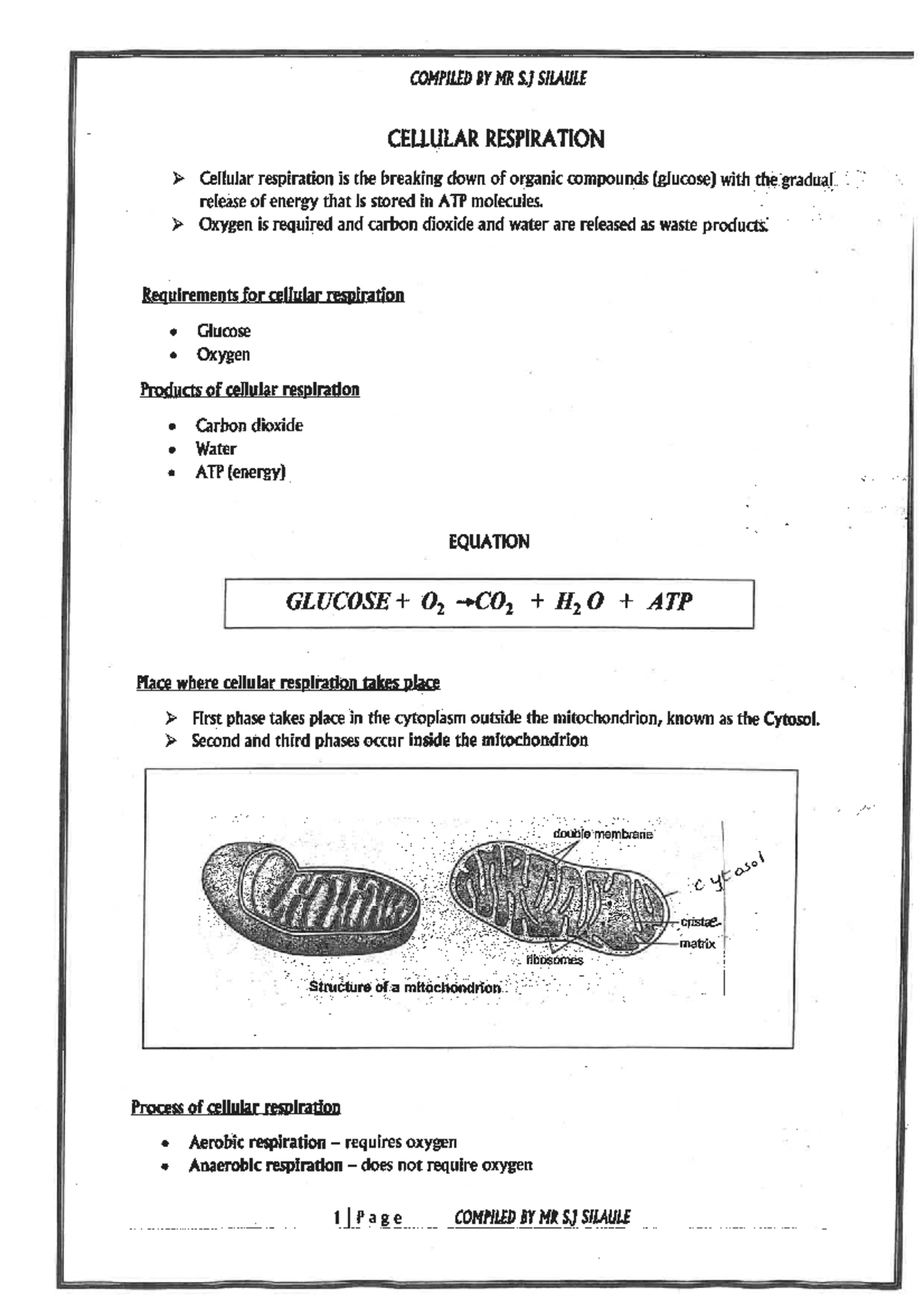 Cellular Respiration: Detailed Notes and Comparisons (Bio 101) - Studocu