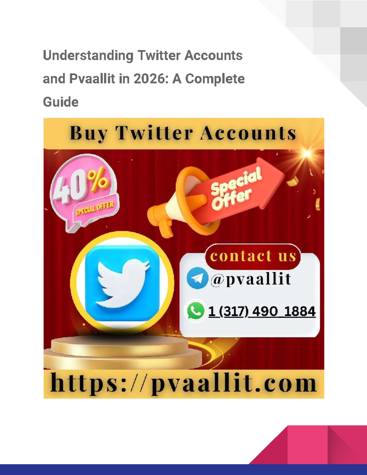 Understanding Twitter Accounts & Pvaallit in 2026: A Comprehensive ...
