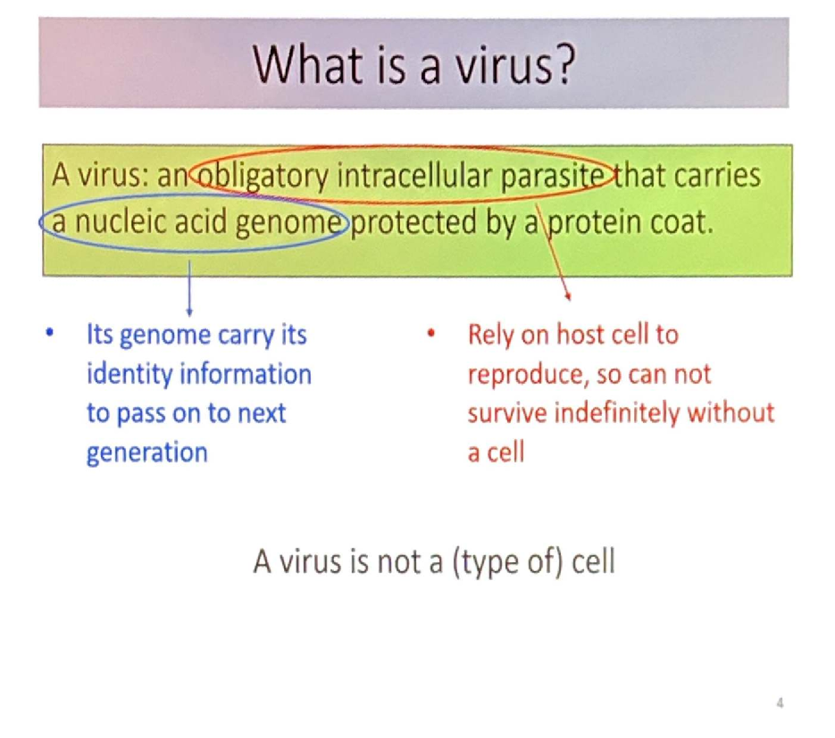 Comprehensive Guide to Viruses: Concepts & Final Exam Prep (BIO101 ...