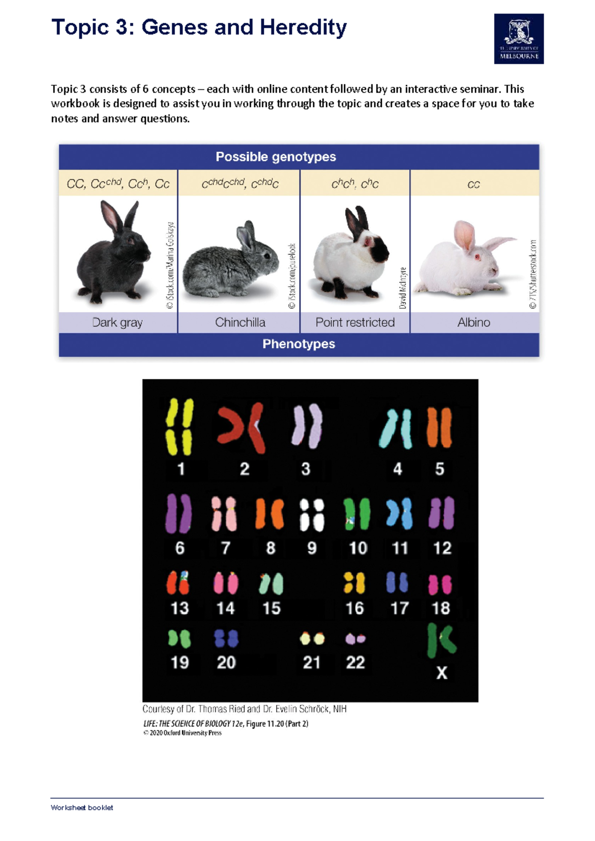 Topic 3: Genes and Heredity Workbook for Student AA - Studocu