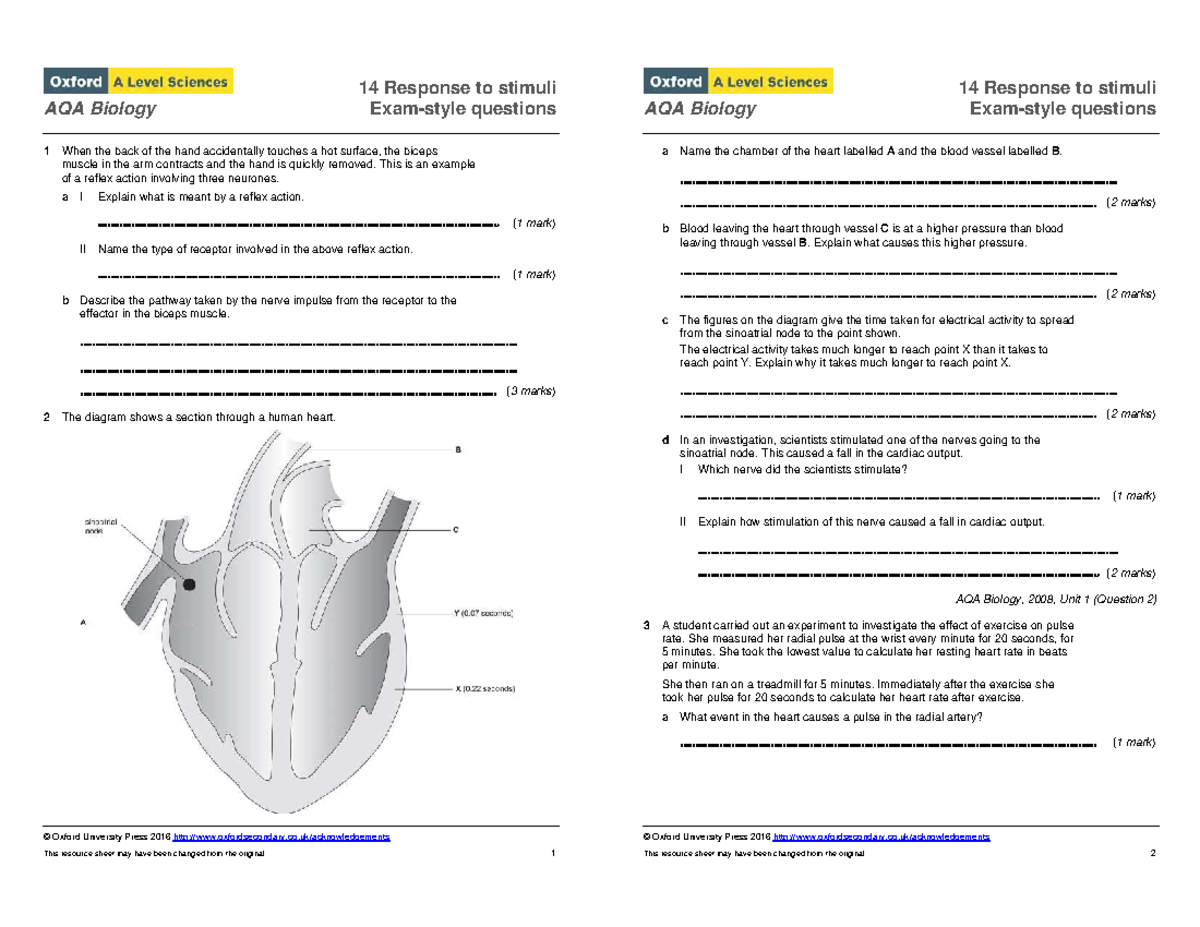 AQA Biology 1 14 Response to Stimuli Questions and Heart Rate ...