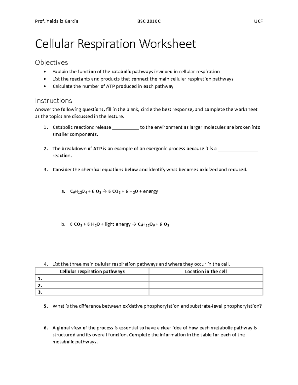 Cellular Respiration Worksheet - BSC 2010C UCF - Studocu