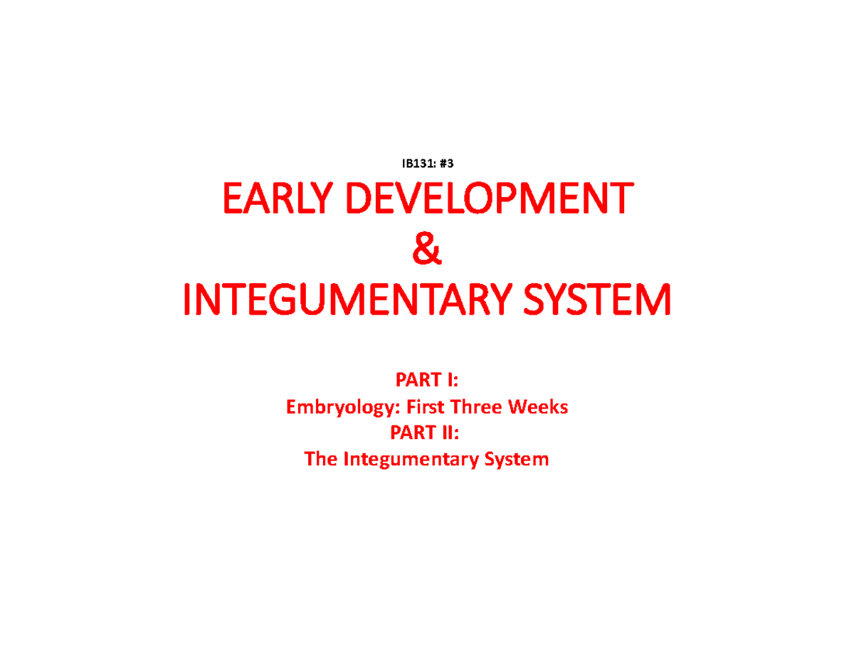 Early Development & Integumentary System: IB131 Summary Notes - Studocu