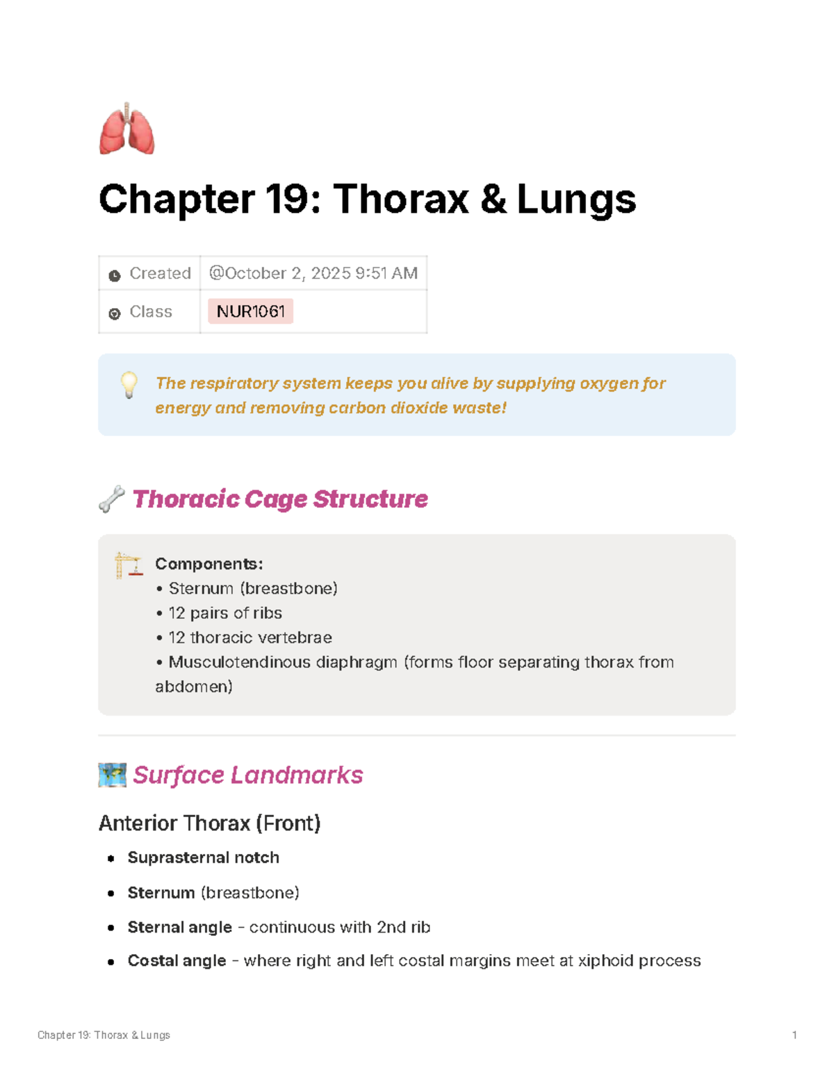 Chapter 19: Thorax & Lungs Study Notes for NUR1061 Class - Studocu