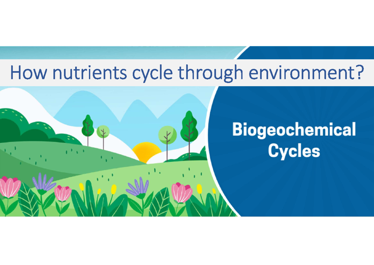 Biogeochemical Cycles: Understanding Nutrient Flow in Ecosystems (2023 ...