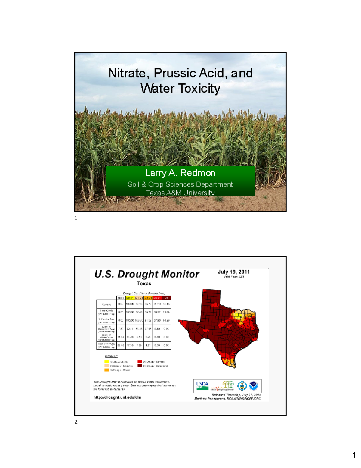 Nitrate, Prussic Acid & Water Toxicity Management in Livestock ...