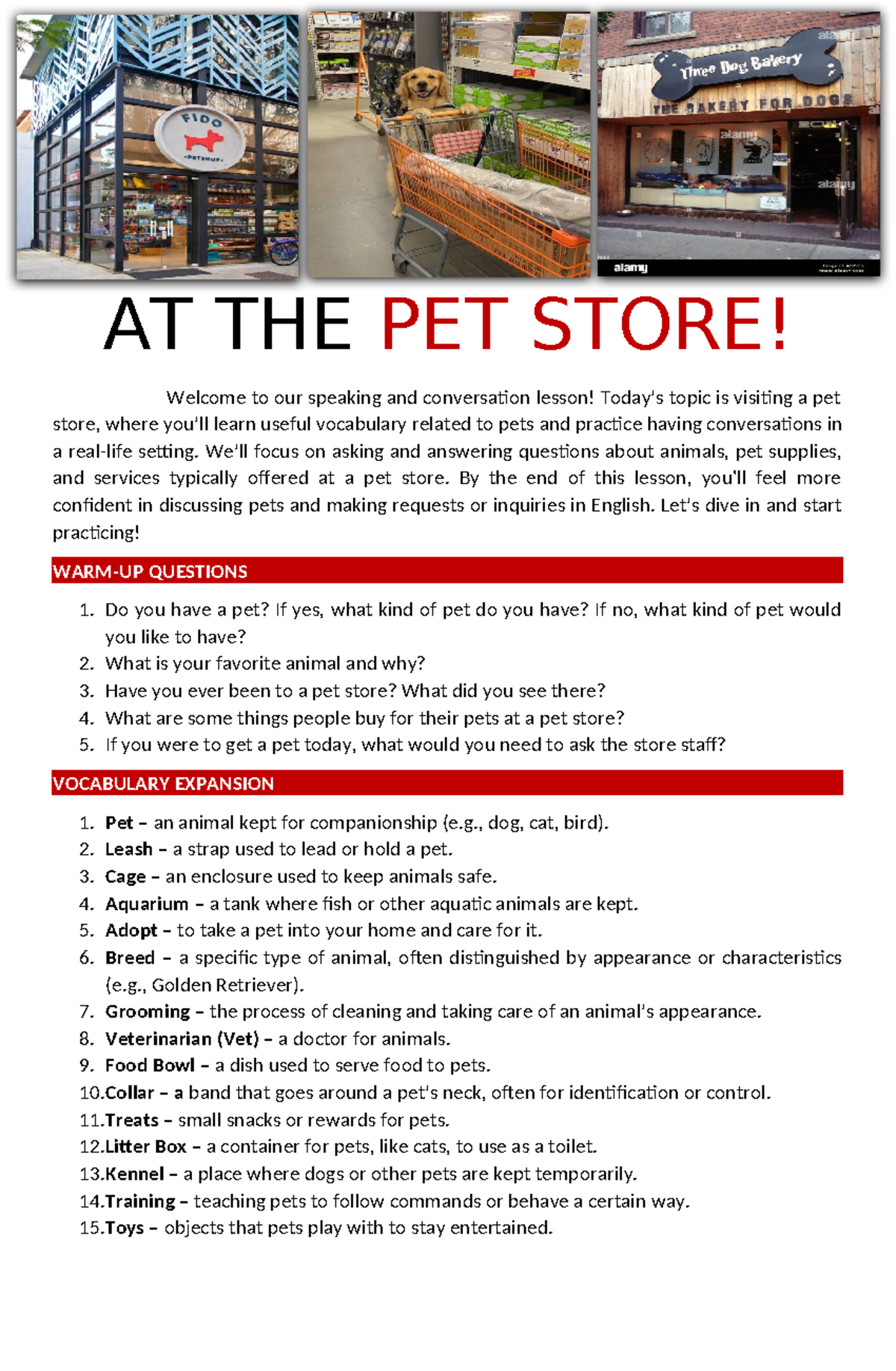 ESL Lesson: Visiting a Pet Store - Vocabulary & Conversation Practice ...