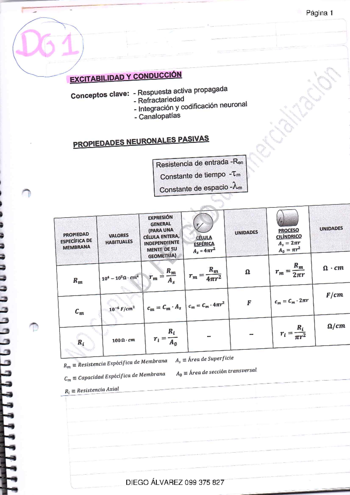 Discusiones Grupales Módulo 1 - Diego Álvarez (Incompleto) - Studocu