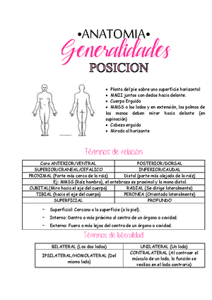 Pleura y Mediastino Anatomía Veterinaria - Warning: TT: undefined ...