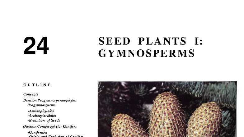 Gymnosperms Overview: Seed Plants I (BIO 101) - Studocu