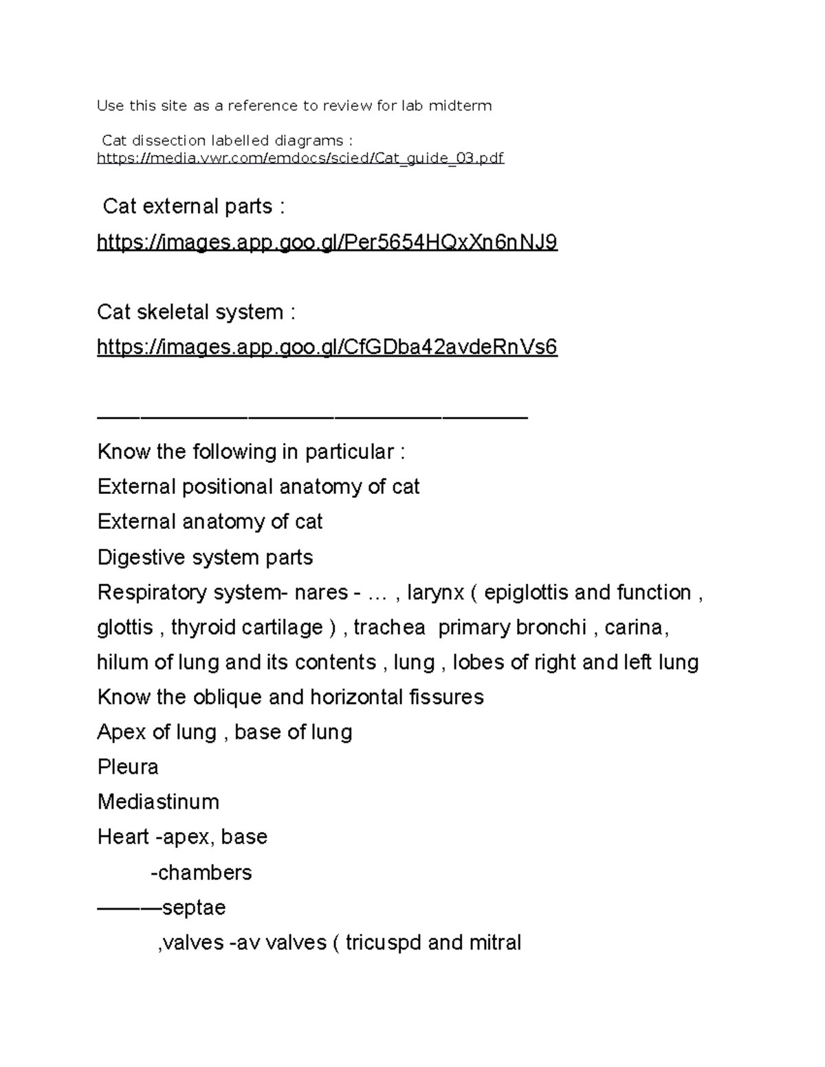 Anatomy Lab Midterm Review Deprecated Api Usage The Svg Back End Is No Longer Maintained And