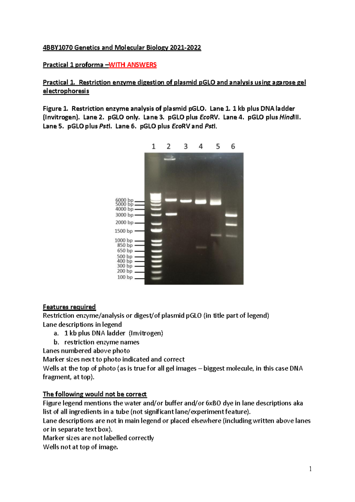 4BBY1070 Practical 1 Proforma 2021-2022 Answers - 4BBY1070 Genetics and Molecular Biology 2021 ...