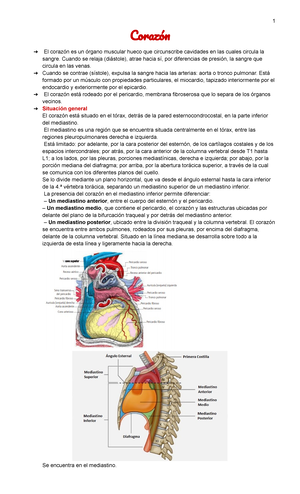 Latarjet Cap. 87 - Sistema de la vena cava superior - Sistema de la ...