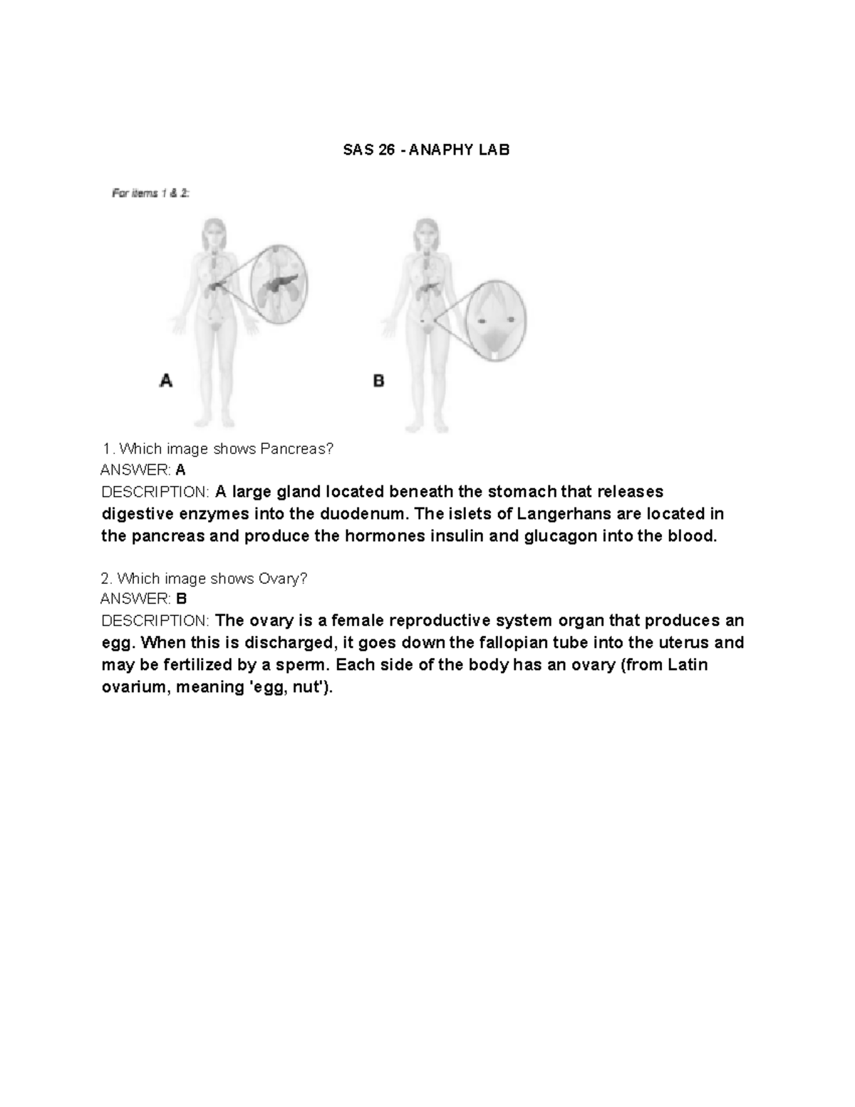 SAS 26 Anaphy LAB - Image Identification Answers and Descriptions - Studocu
