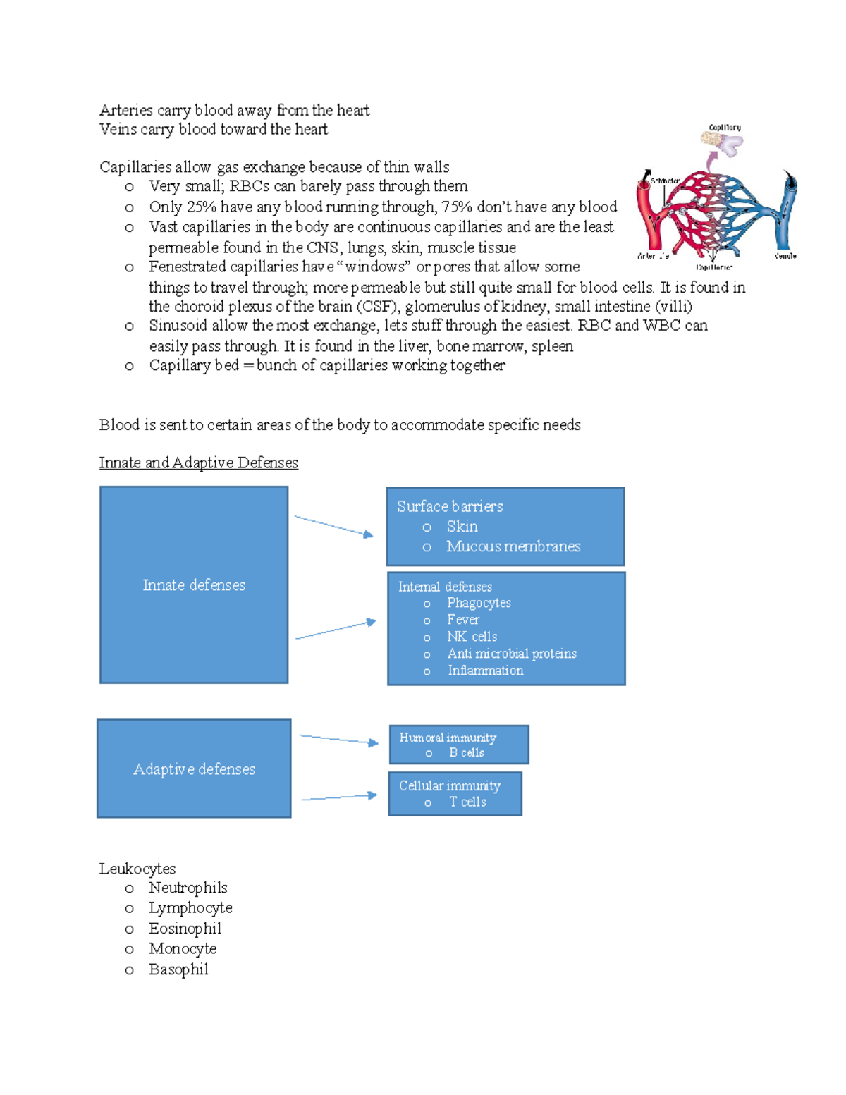 AP II lecture notes for exam 2 - Arteries carry blood away from the ...