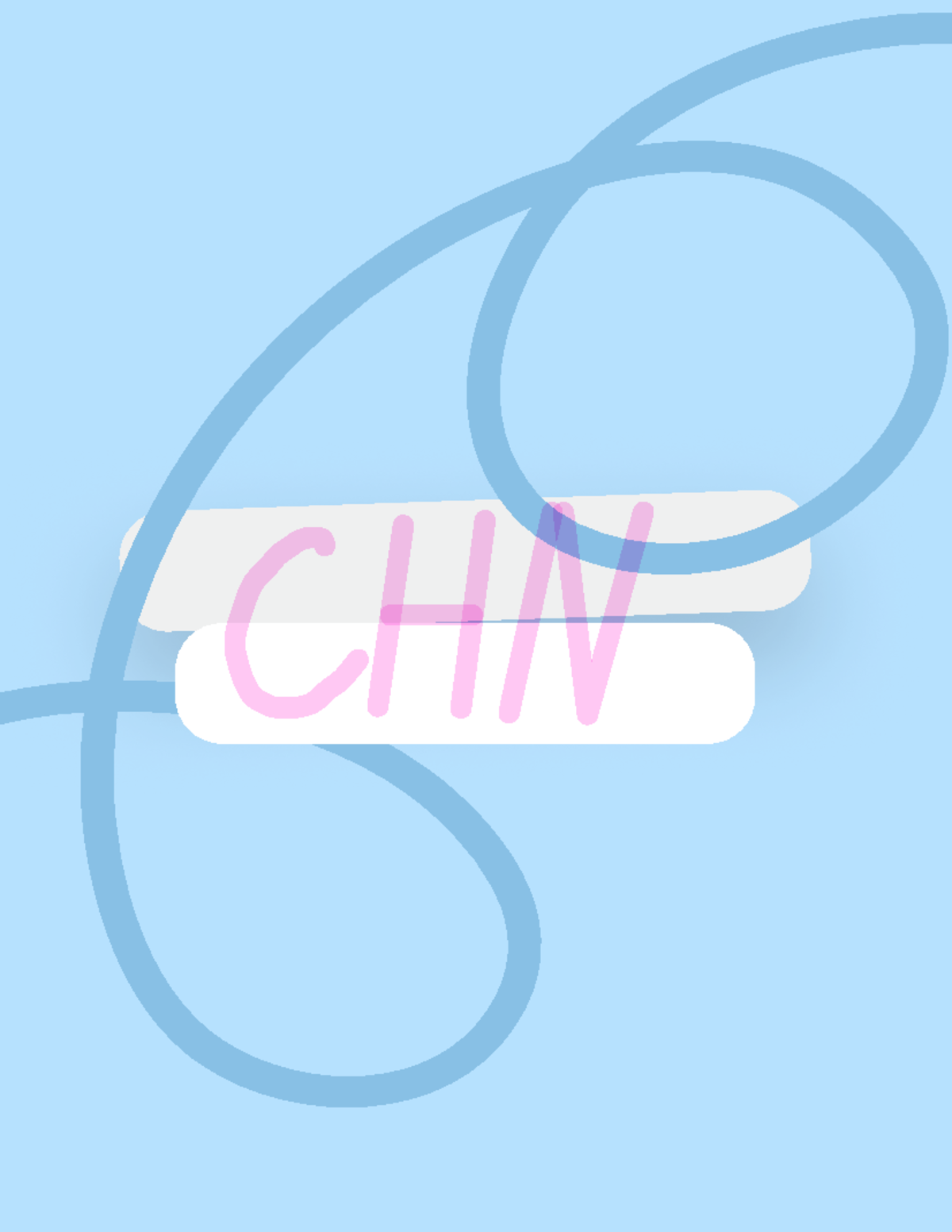 CHN 2 - CHN notes - CHN CHN Nurse : outside hospital primary patient ...