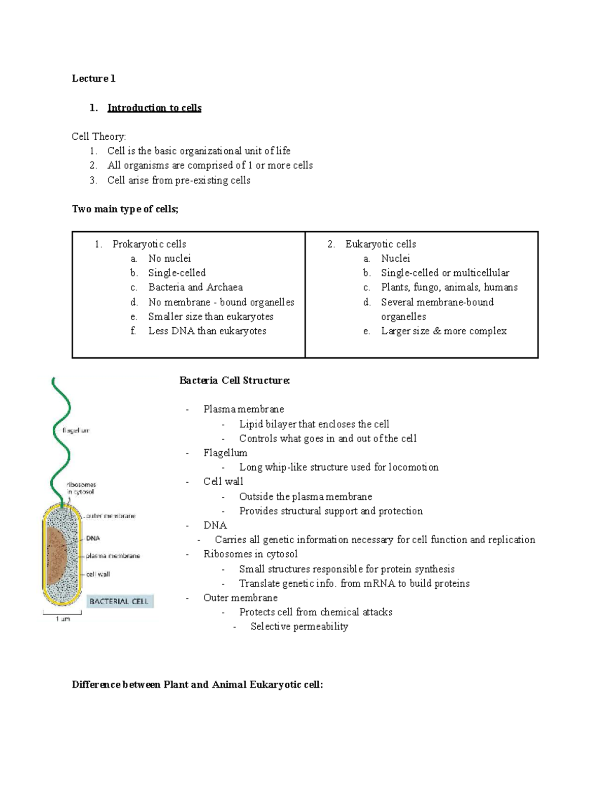 BIO130 Lecture Notes: Introduction to Cells and Proteins - Studocu