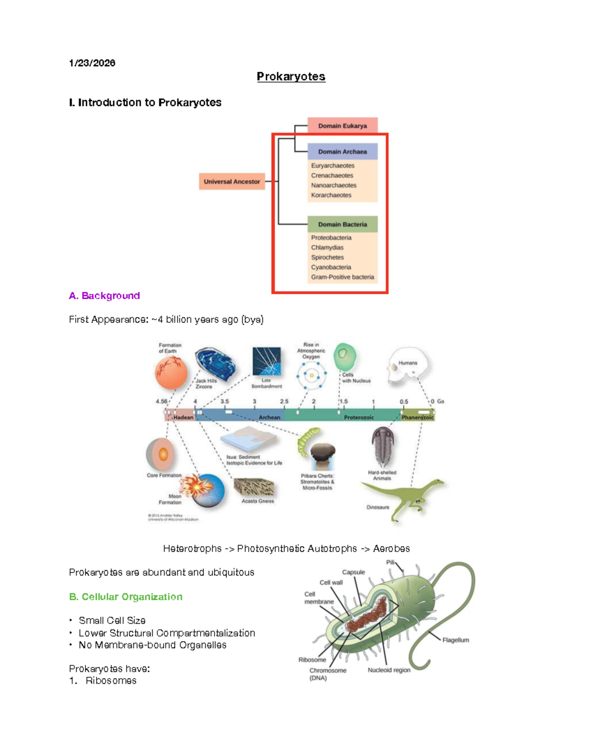 Gen Bio II Lecture 2: Introduction to Prokaryotes and Their Diversity ...