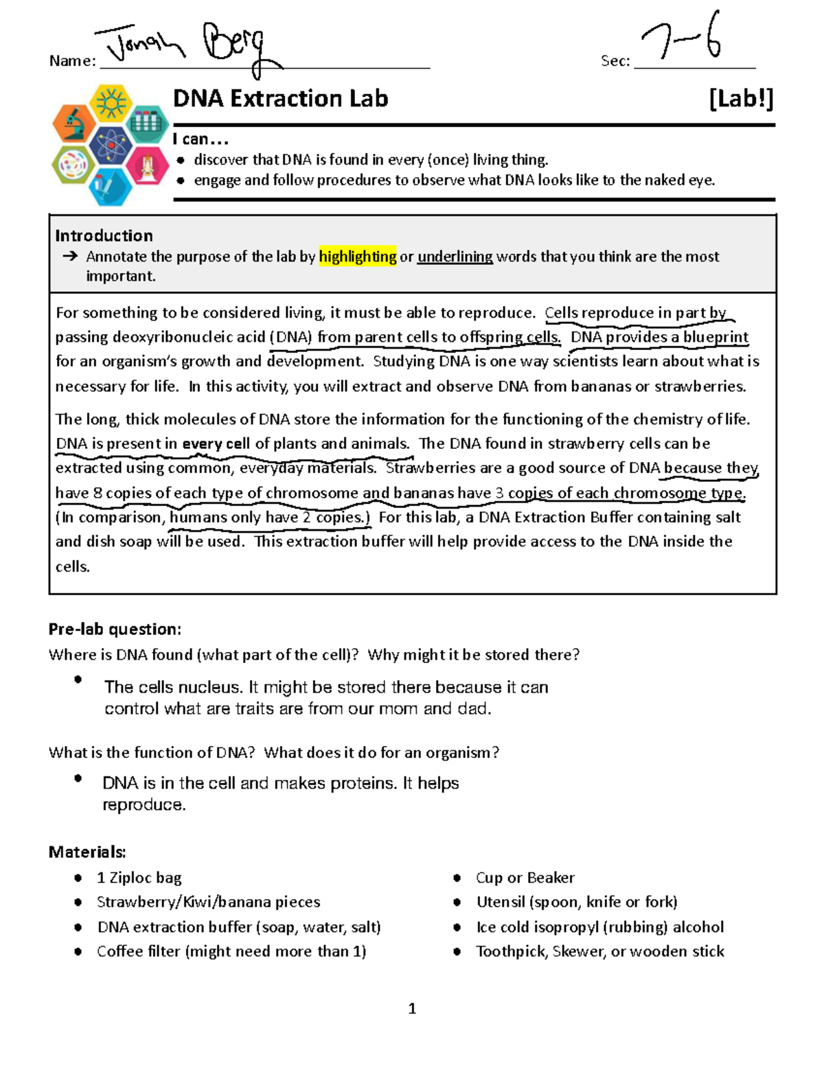 DNA Extraction Lab - Science 2: Observing DNA from Strawberries and ...