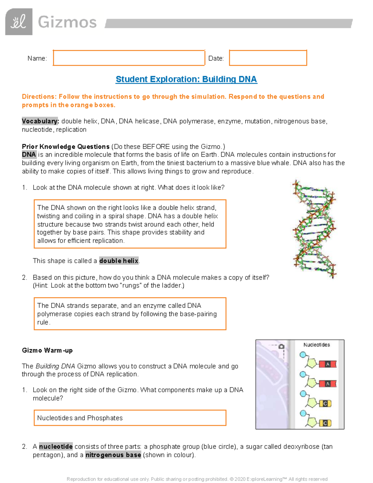 DNA Simulation Exploration: Building DNA Structure & Replication - Studocu