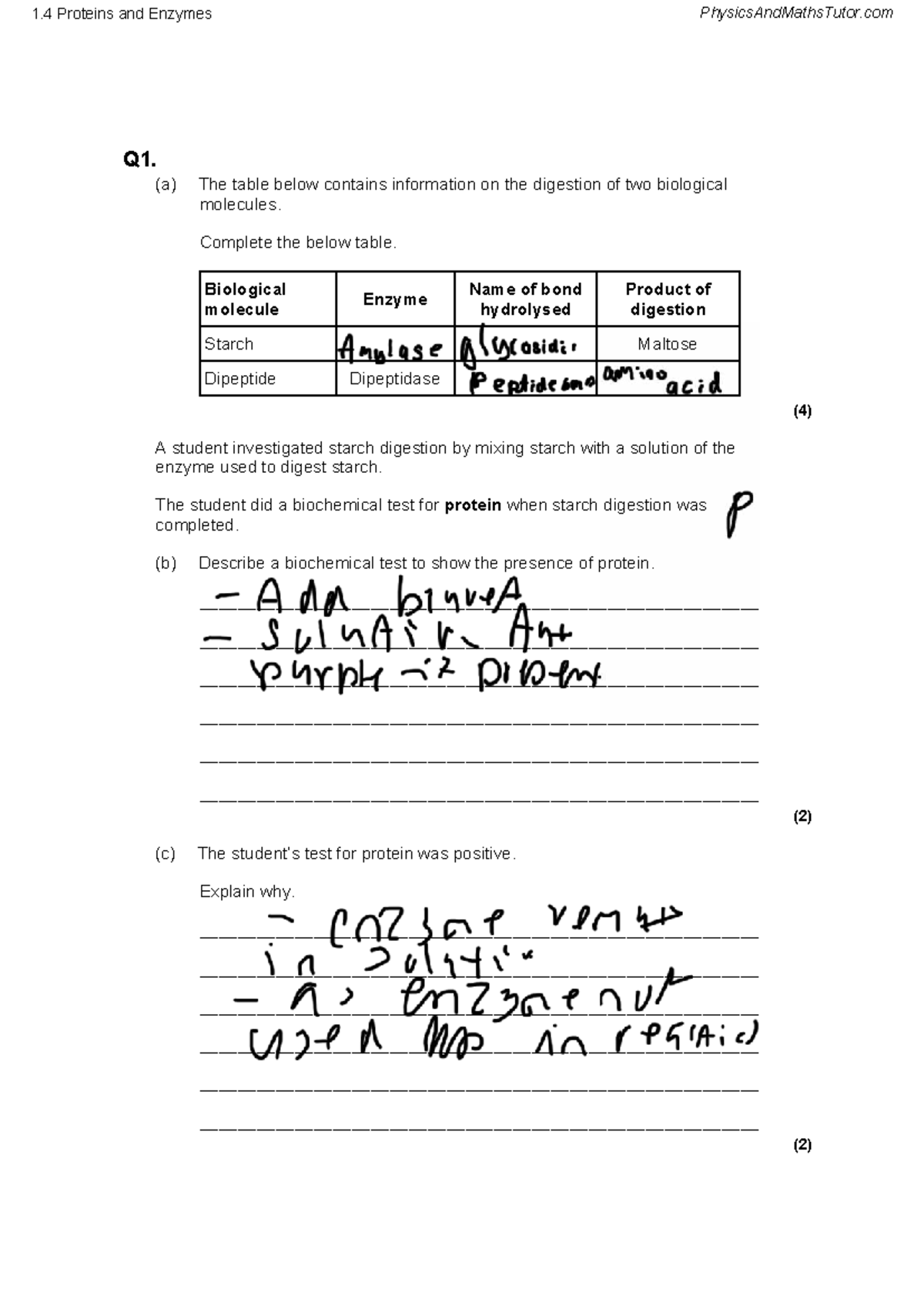 1.4 Proteins and Enzymes Question Paper - Studocu