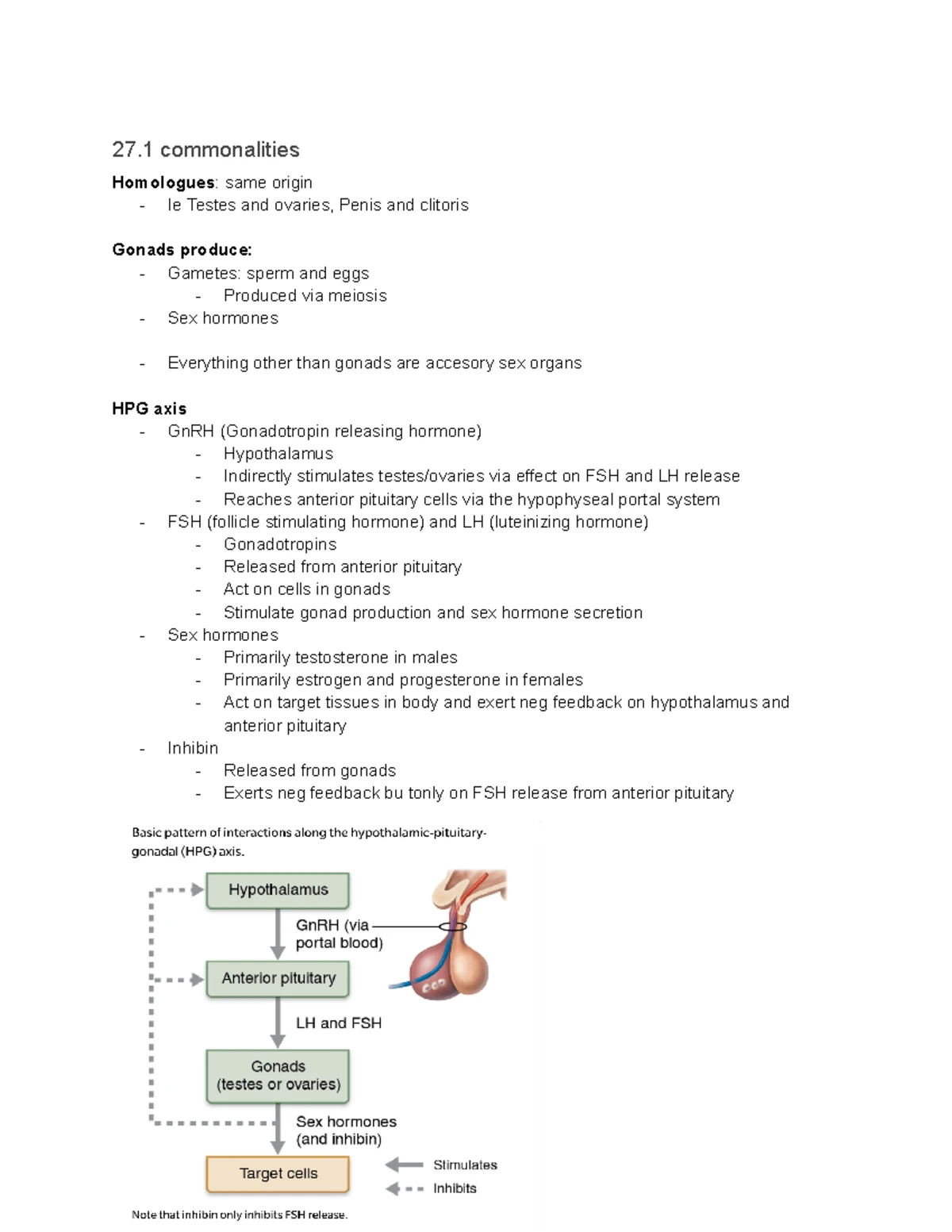 A&P Mastering Quiz Notes for Ch 27: The Reproductive System - Studocu