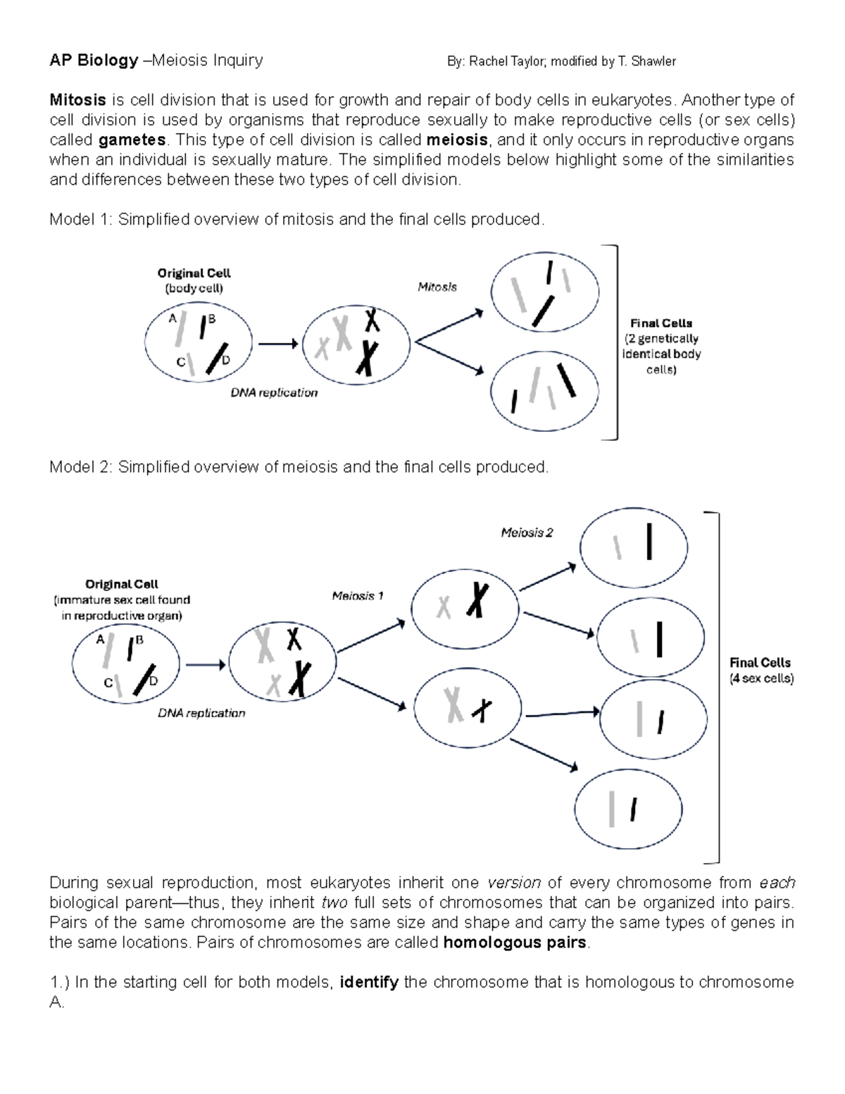 Meiosis Inquiry Models: AP Biology Study Guide by Rachel Taylor - Studocu