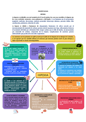 resumen de Inflamación fisiopatología - Inflamación o flogosis Es una ...