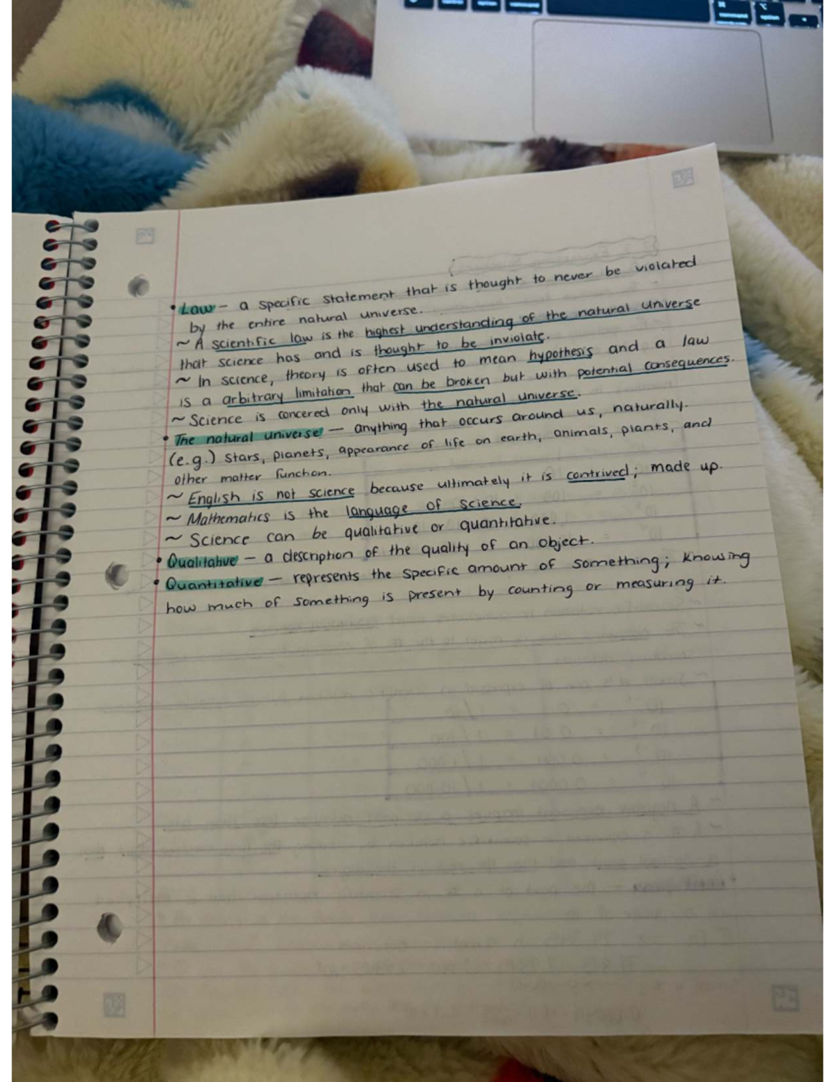 Document Review and Analysis: Strategies for Effective Learning - Studocu