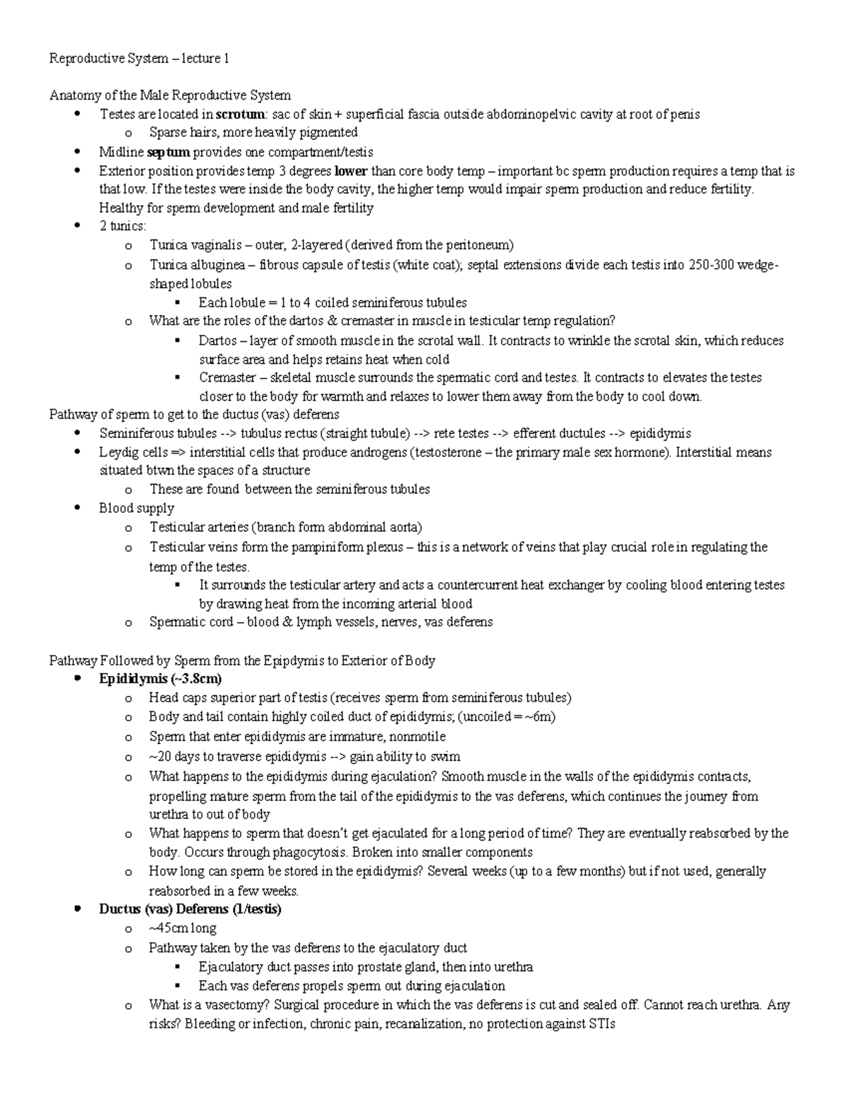 Reproductive System - Lecture 1: Anatomy of the Male Reproductive ...