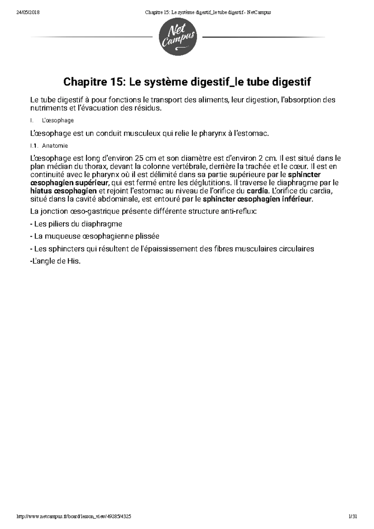Chapitre 16 Le système digestif les organes annexes - Chapitre 16: Le ...
