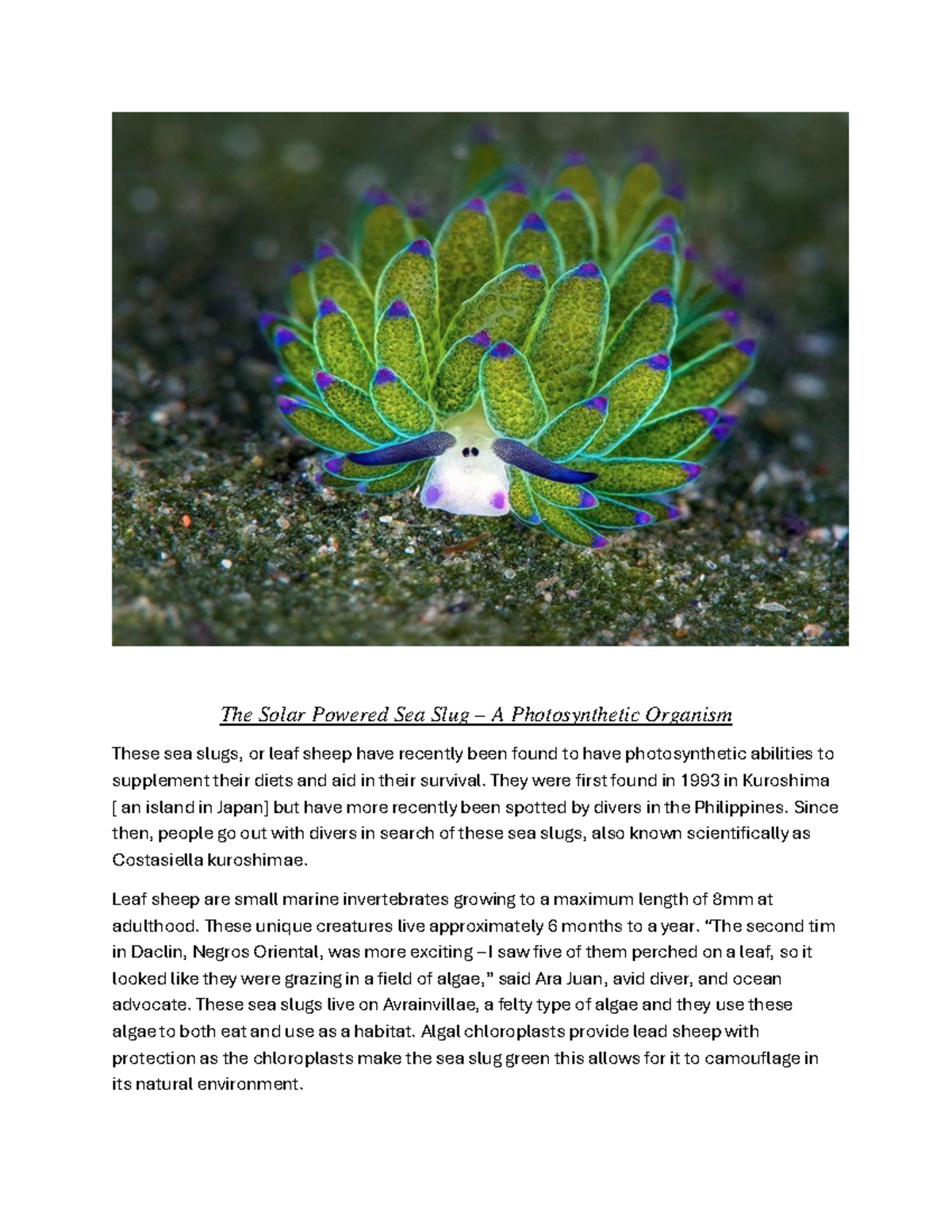 BI-110 Tutorial: Exploring the Photosynthetic Sea Slug - Studocu