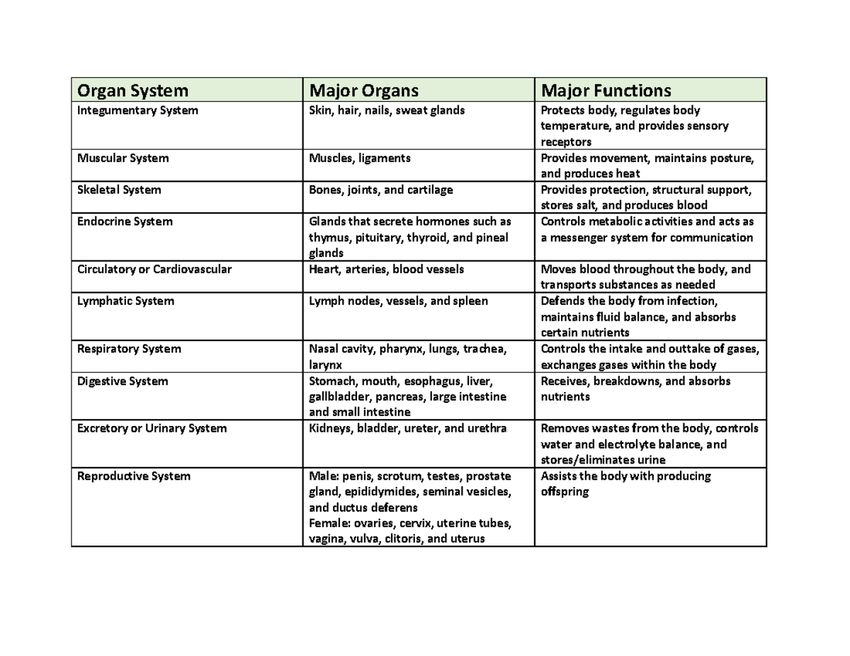 Comprehensive Overview of Human Organ Systems and Their Functions ...