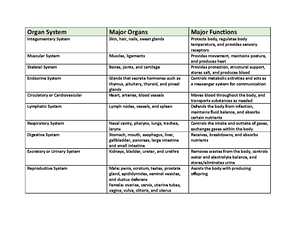 Levels of Biological Organization: Atoms to Organ Systems - Level of ...
