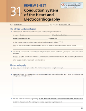 Exercise 36 - Review Sheet 36 - The Respiratory System - BIOL 2113 ...